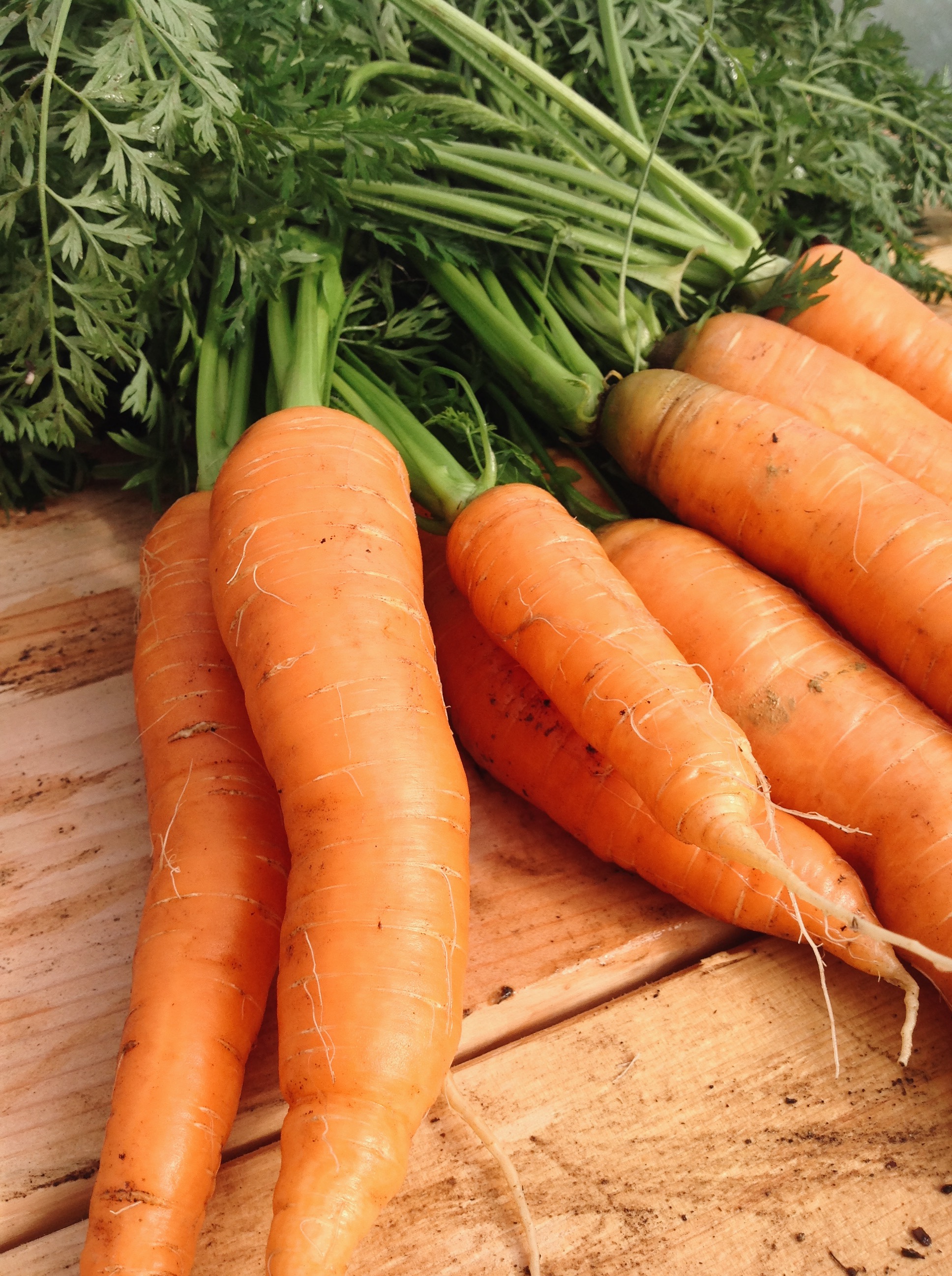 Project EDEN™ – Everyone Deserves to Eat Naturally™